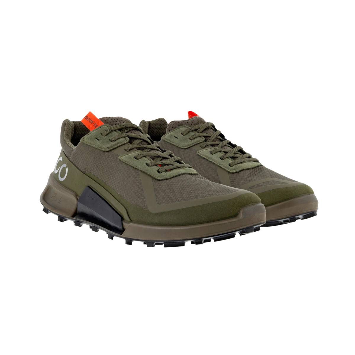 Ecco Biom 2.1 GTX Low - Dardano's Shoes